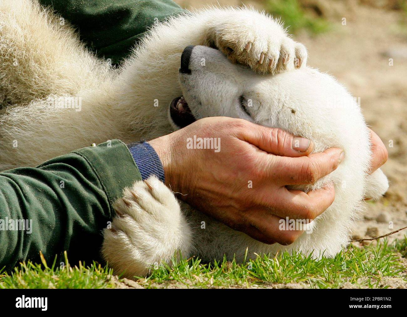 Tierpfleger Thomas Doerflein spielt am Freitag, 23. Maerz 2007, mit ...