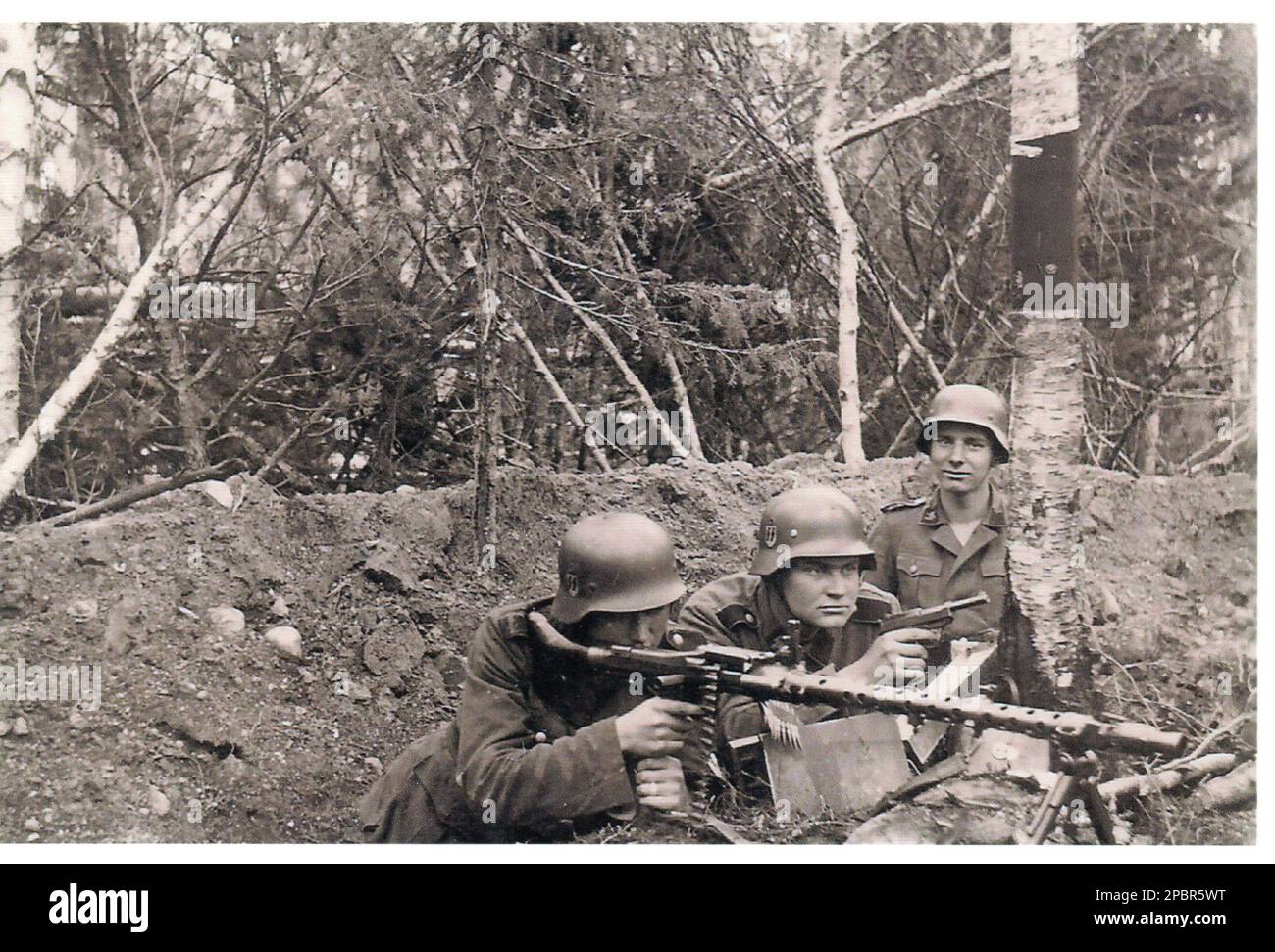 World War Two B&W photo German Soldiers of the 6th SS Mountain Division ...