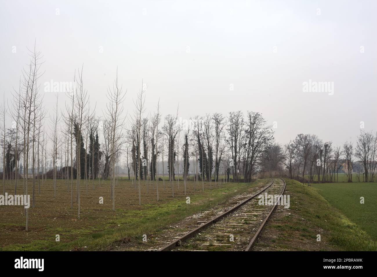 Abandoned railroad track on an embankment between fields on a cloudy ...