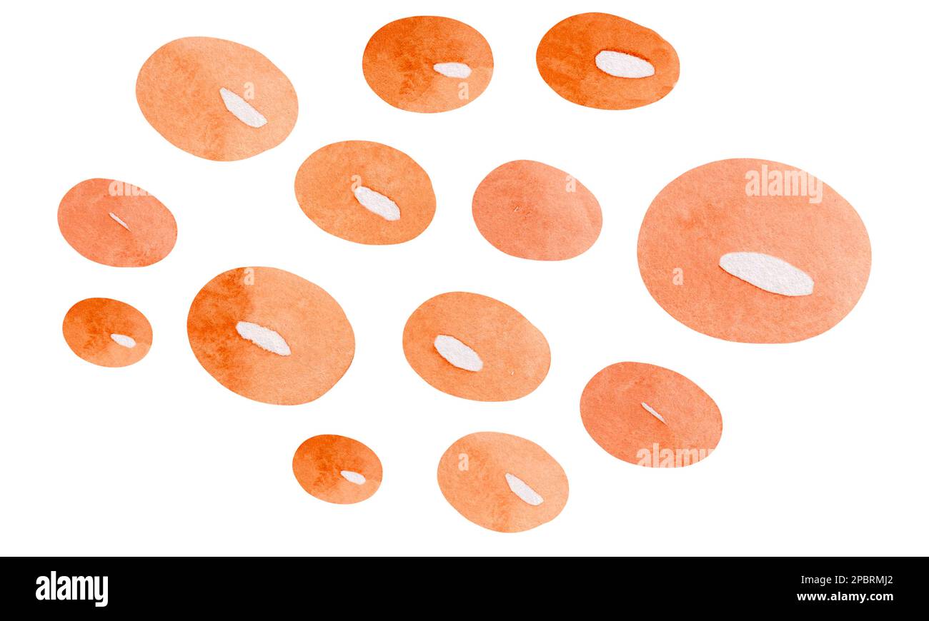 Leopard set leopard, jaguar spots. Funny drawing. Watercolor ...