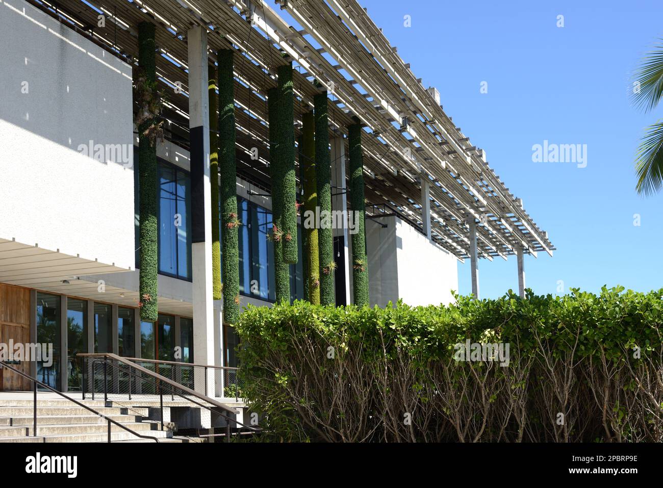 Perez Art Museum Miami (PAMM), contemporary art museum. Entrance ...