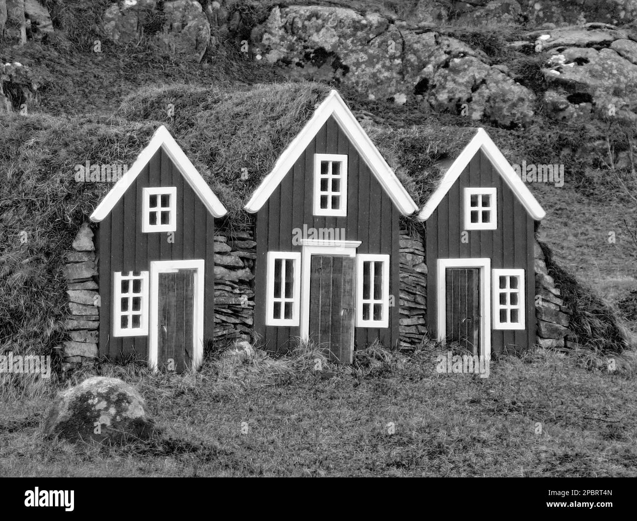 typical with moss covered roof of a house in Iceland for isolation of ...