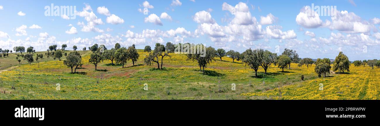 scenic landscape near Ourique at the coast aerea of Algarve in Portugal ...