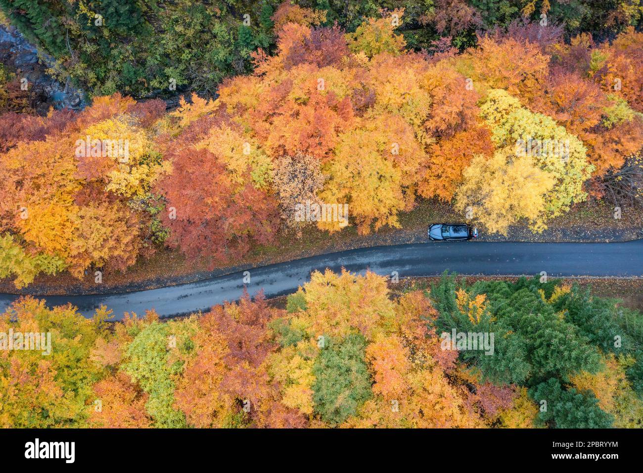 Aerial view of a car standing on the side of the road surrounded by ...