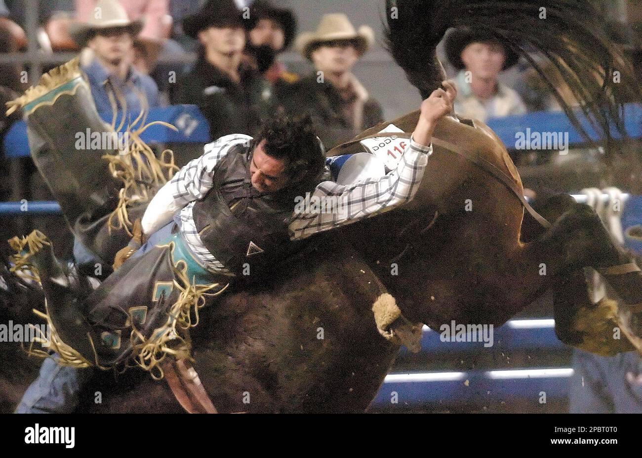 Jason Martin of Coronado, Calif., tries to hang on during the Bareback ...