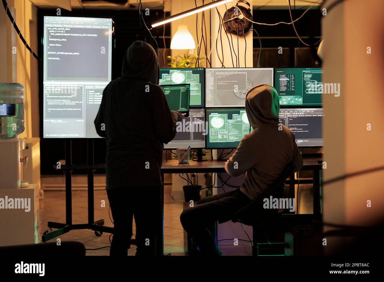 Team of two thieves using computers to break into government sensitive ...