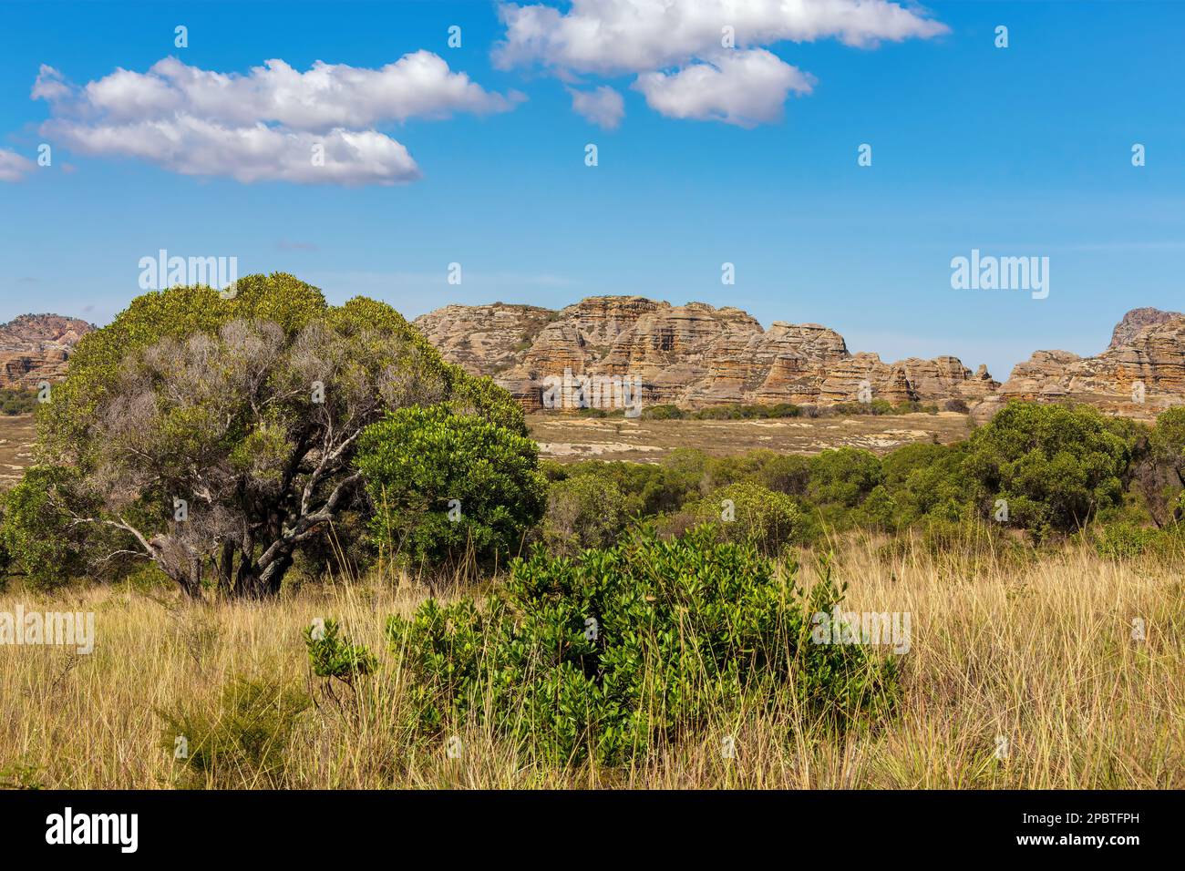 Isalo National Park in Ihorombe Region. Wilderness landscape with water ...