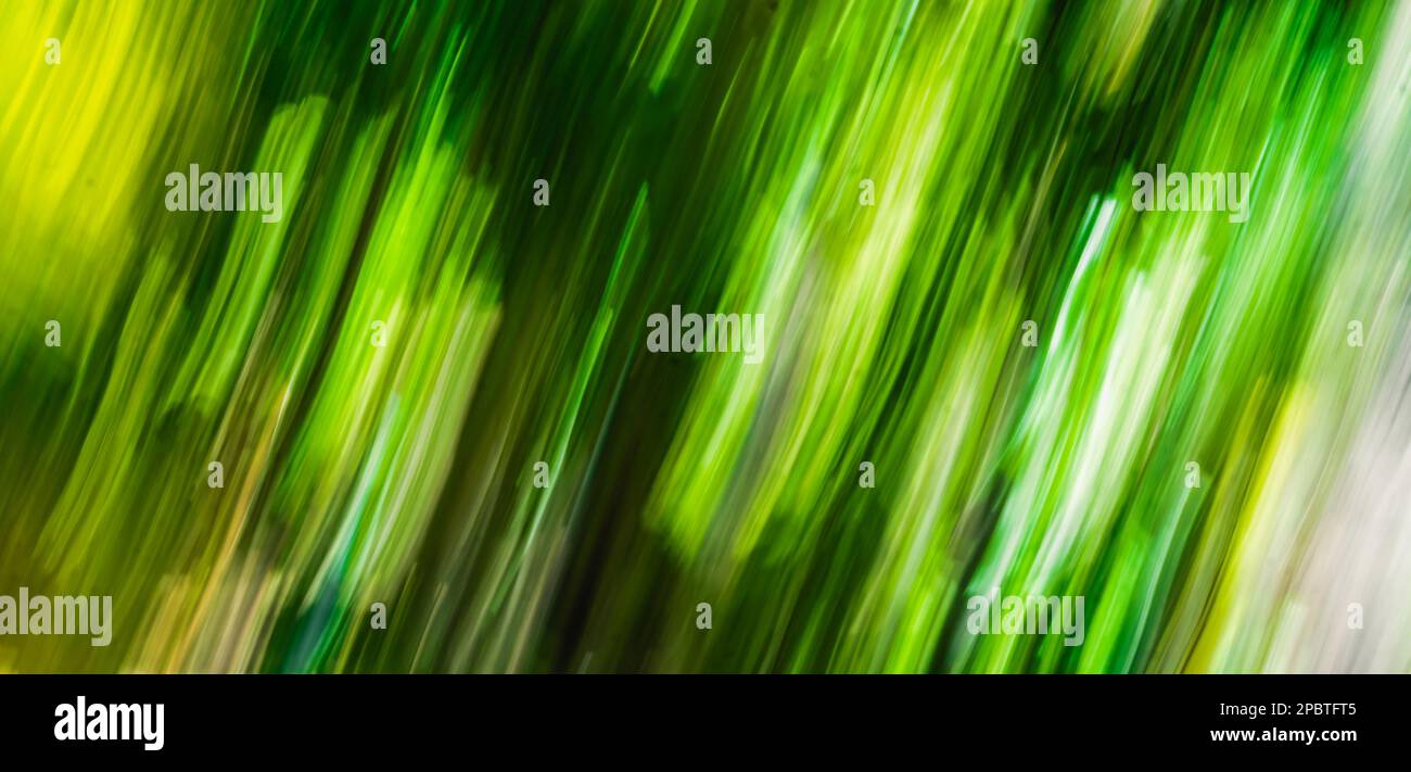 Abstract Nature Blurred dynamic motion lines defocused light bright ...