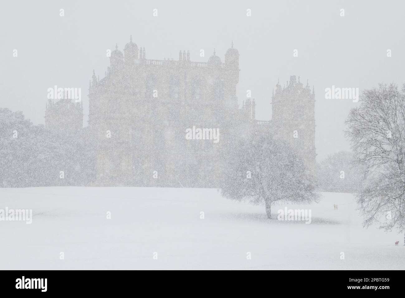 Heavy snow at Wollaton Park in Nottingham, Nottinghamshire England UK ...