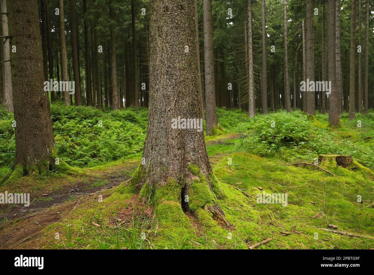 Rissfall hi-res stock photography and images - Alamy