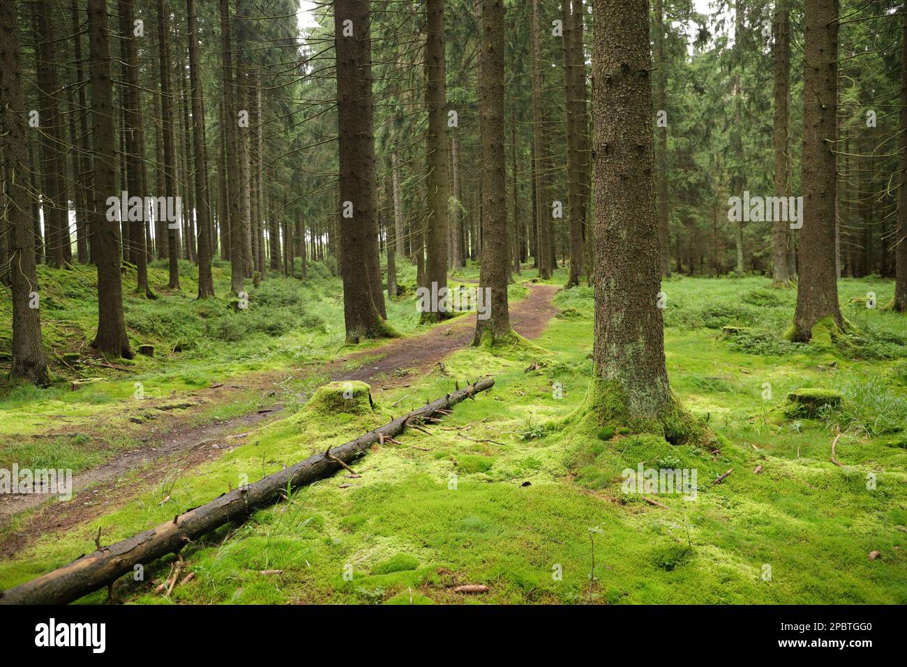 Rissfall hi-res stock photography and images - Alamy