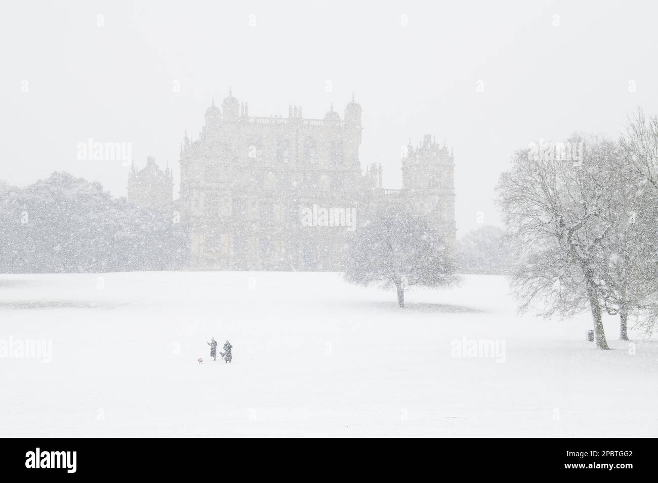 Heavy snow at Wollaton Park in Nottingham, Nottinghamshire England UK ...