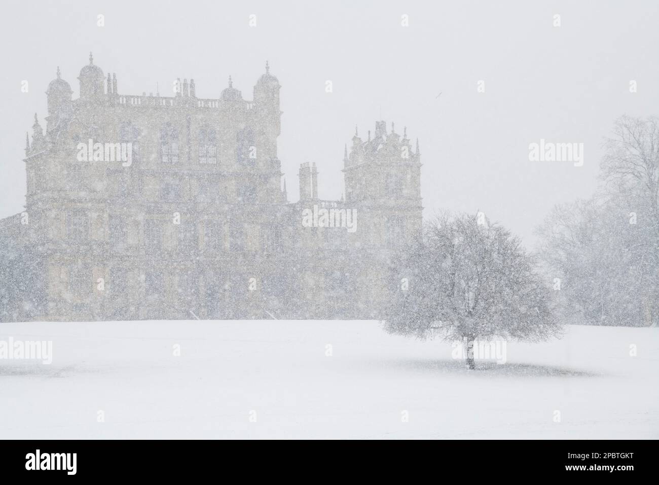 Heavy snow at Wollaton Park in Nottingham, Nottinghamshire England UK ...