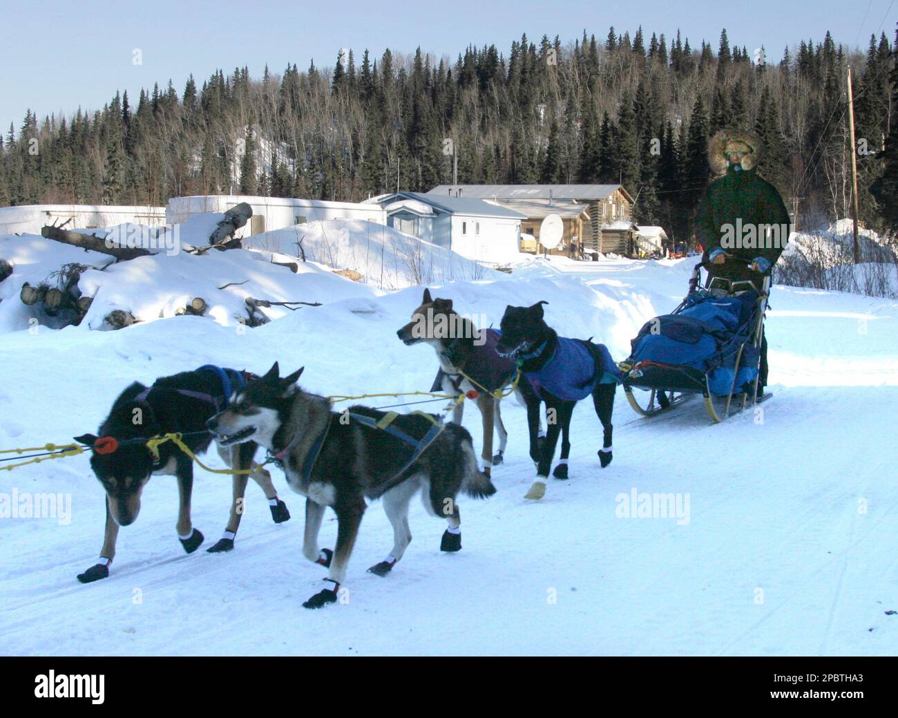 Ryan Redington of Knik, Alaska, grandson of Joe Redington Sr., the ...