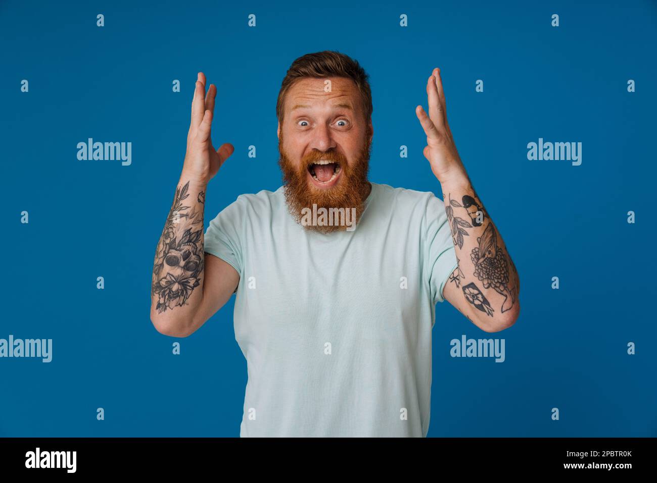 Ginger shocked man with beard expressing surprise at camera isolated ...