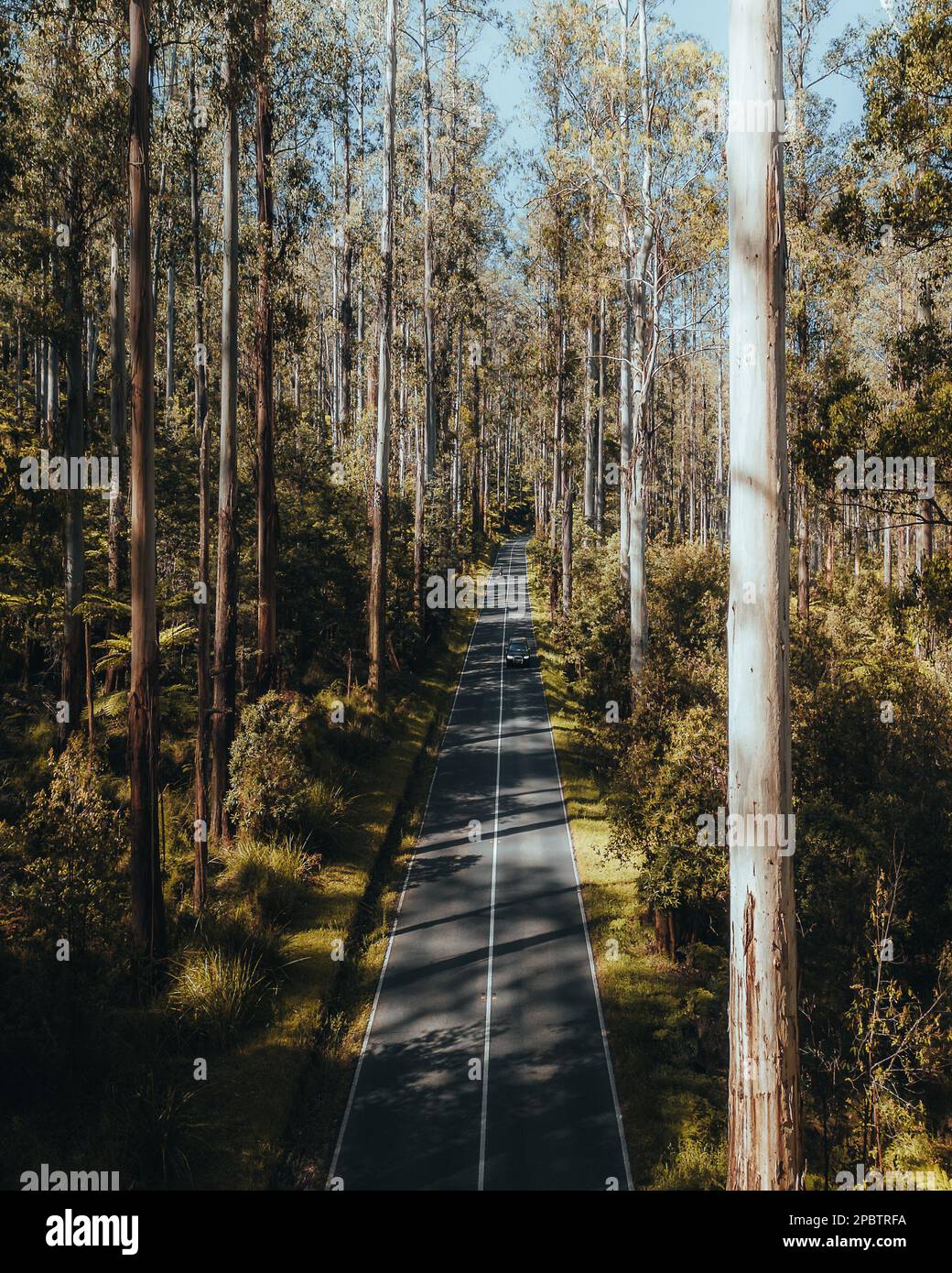 Spur drive hi-res stock photography and images - Alamy