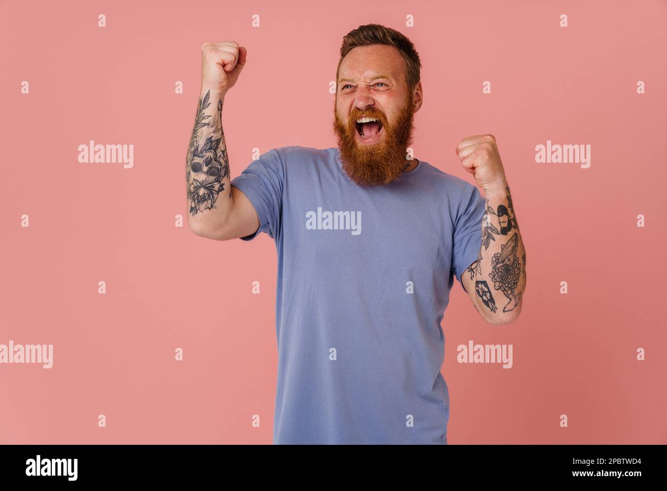 Ginger white man screaming and making winner gesture isolated over pink ...