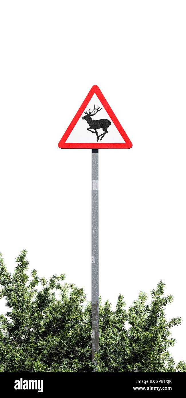 deer sign isolated on white background 3d illustration Stock Photo - Alamy