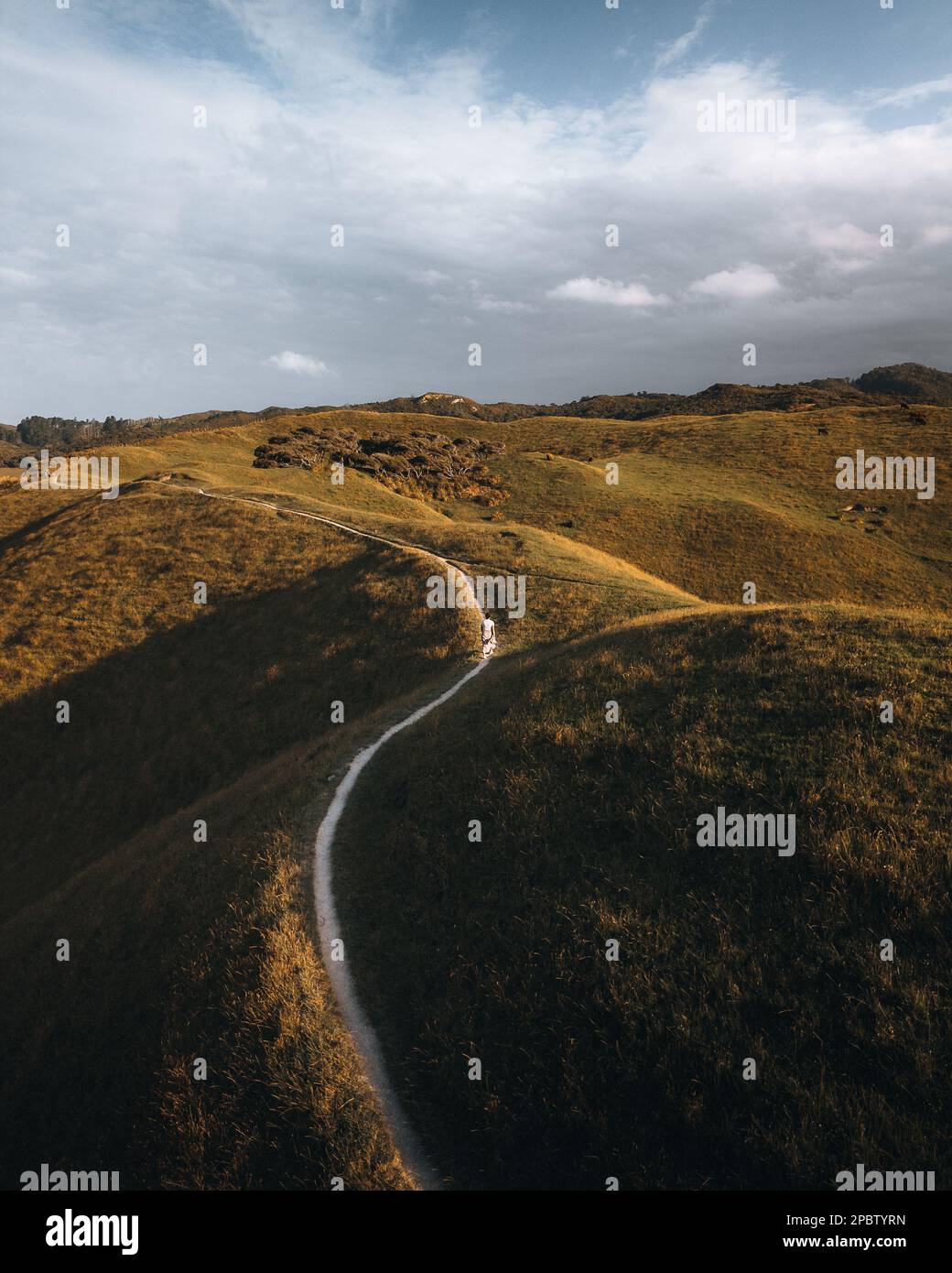 The vast New Zealand pastures Stock Photo - Alamy