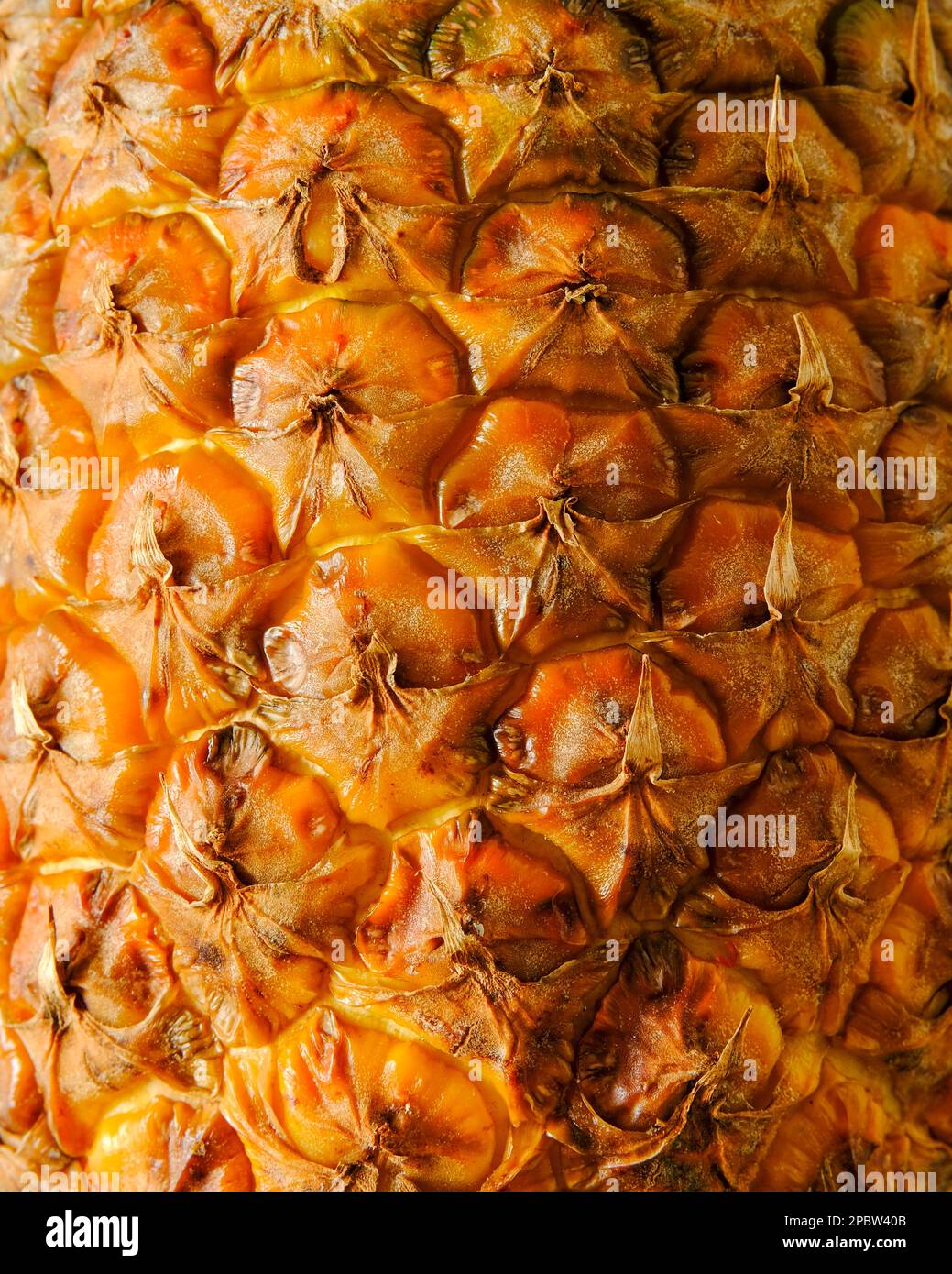Pineapple peel texture full frame close-up. High quality photo Stock ...