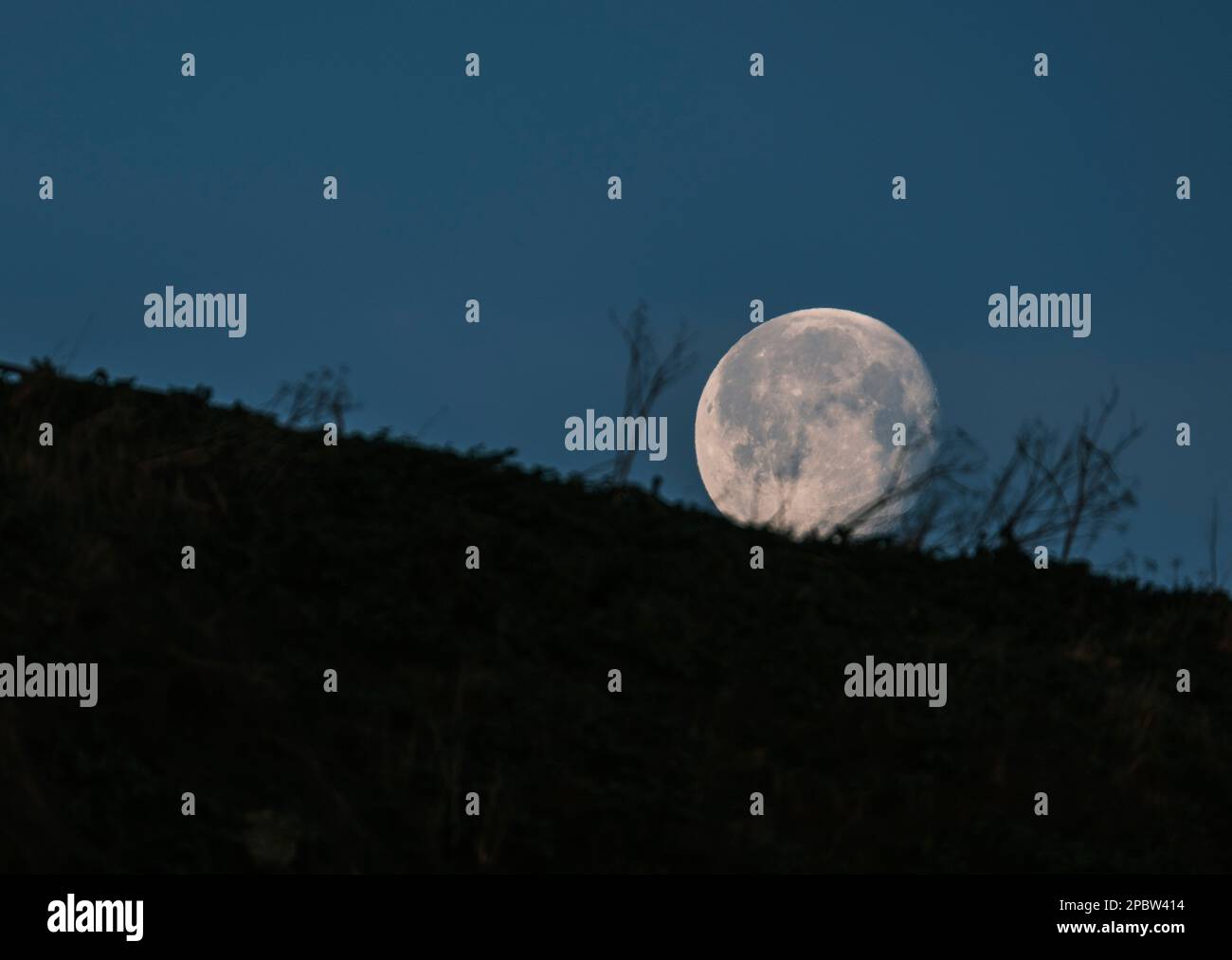 Large moon rises behing backlit cliffs and shrubs in North East England ...