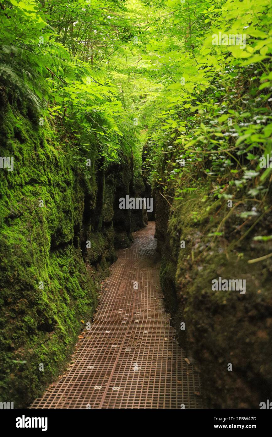 Hiking Trail Dragon Gorge (Drachenschlucht) Eisenach, Thuringia ...