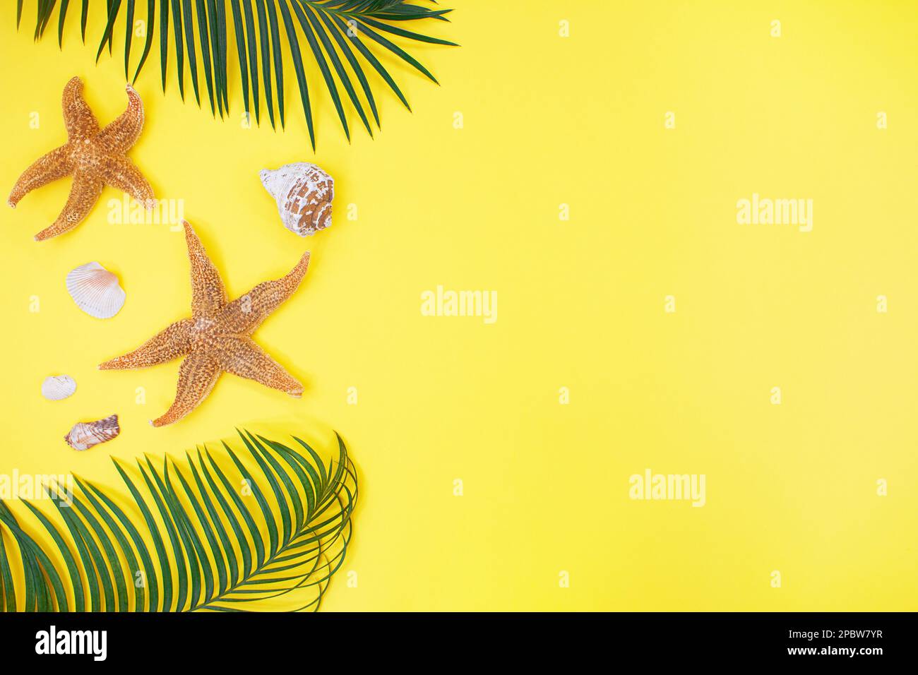 Summer minimal background with orange starfishes, shells and palm tree ...