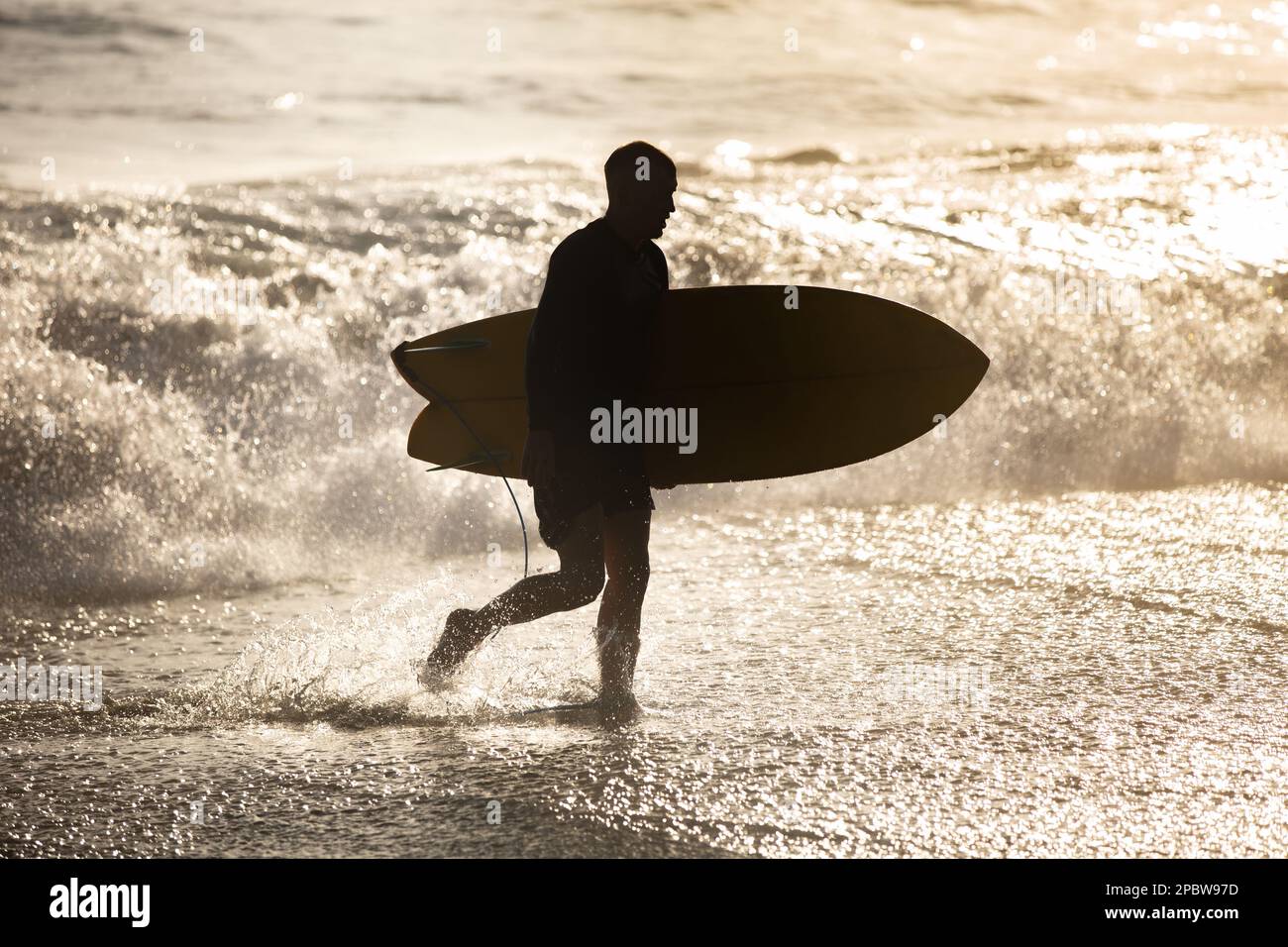 Surfer carrying surf board walking the beach in Bali, Indonesia Stock ...