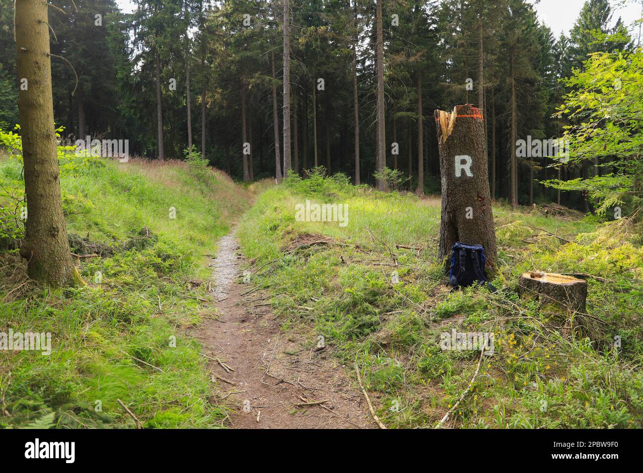 The hiking trail Rennsteig in Ernstthal, Thuringia - Germany Stock ...