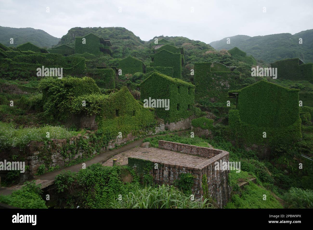 Abandoned building covered with green vines Stock Photo - Alamy