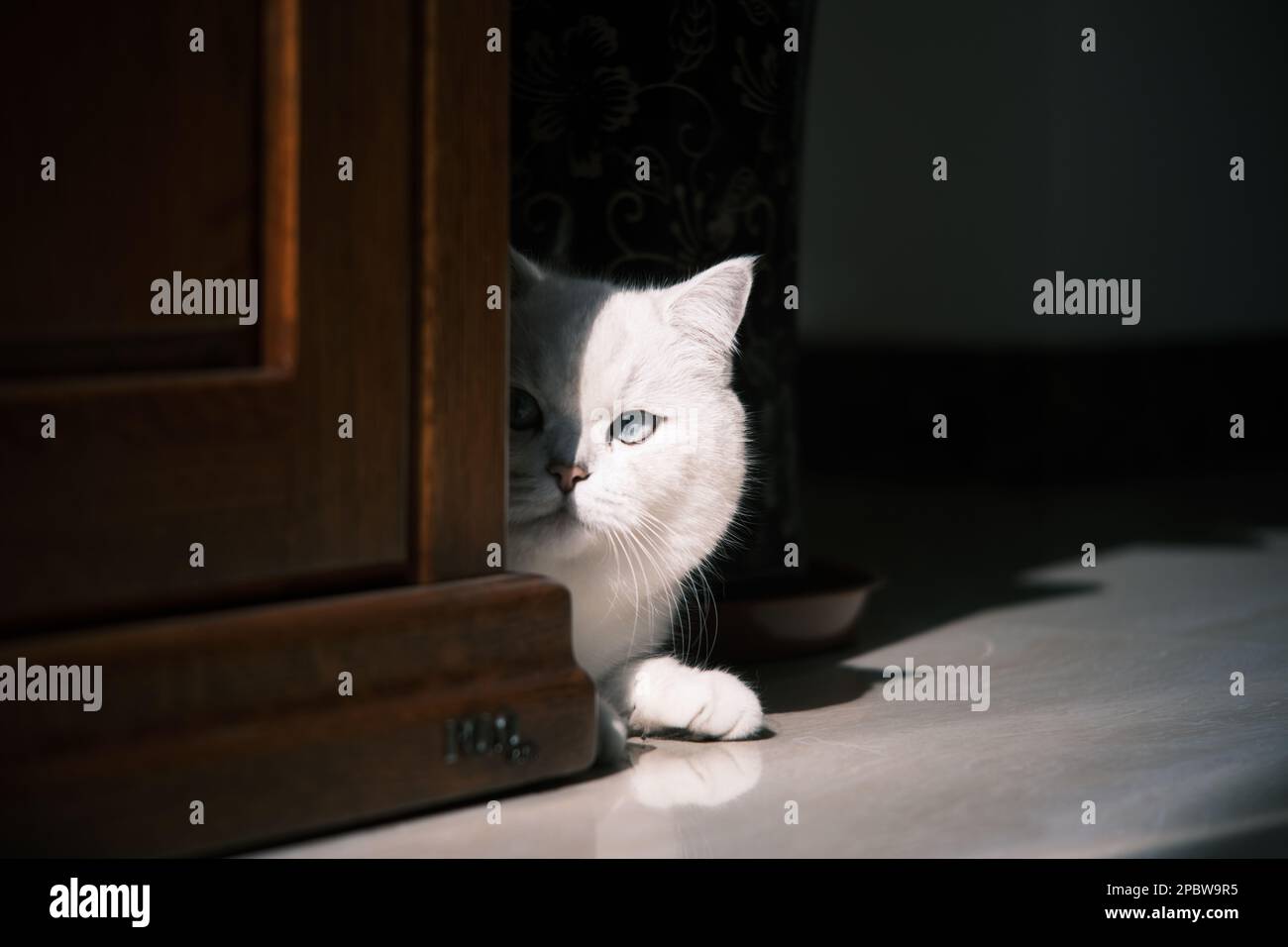 Silver point hi-res stock photography and images - Alamy