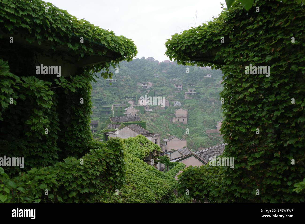 Abandoned building covered with green vines Stock Photo - Alamy