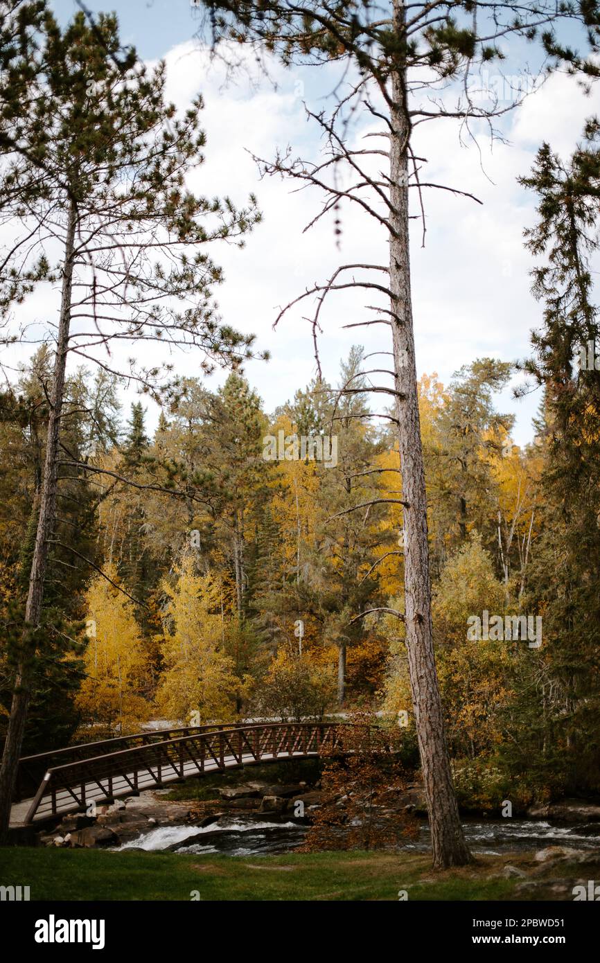 A footbridge over a raging river in fall surrounded by trees Stock ...