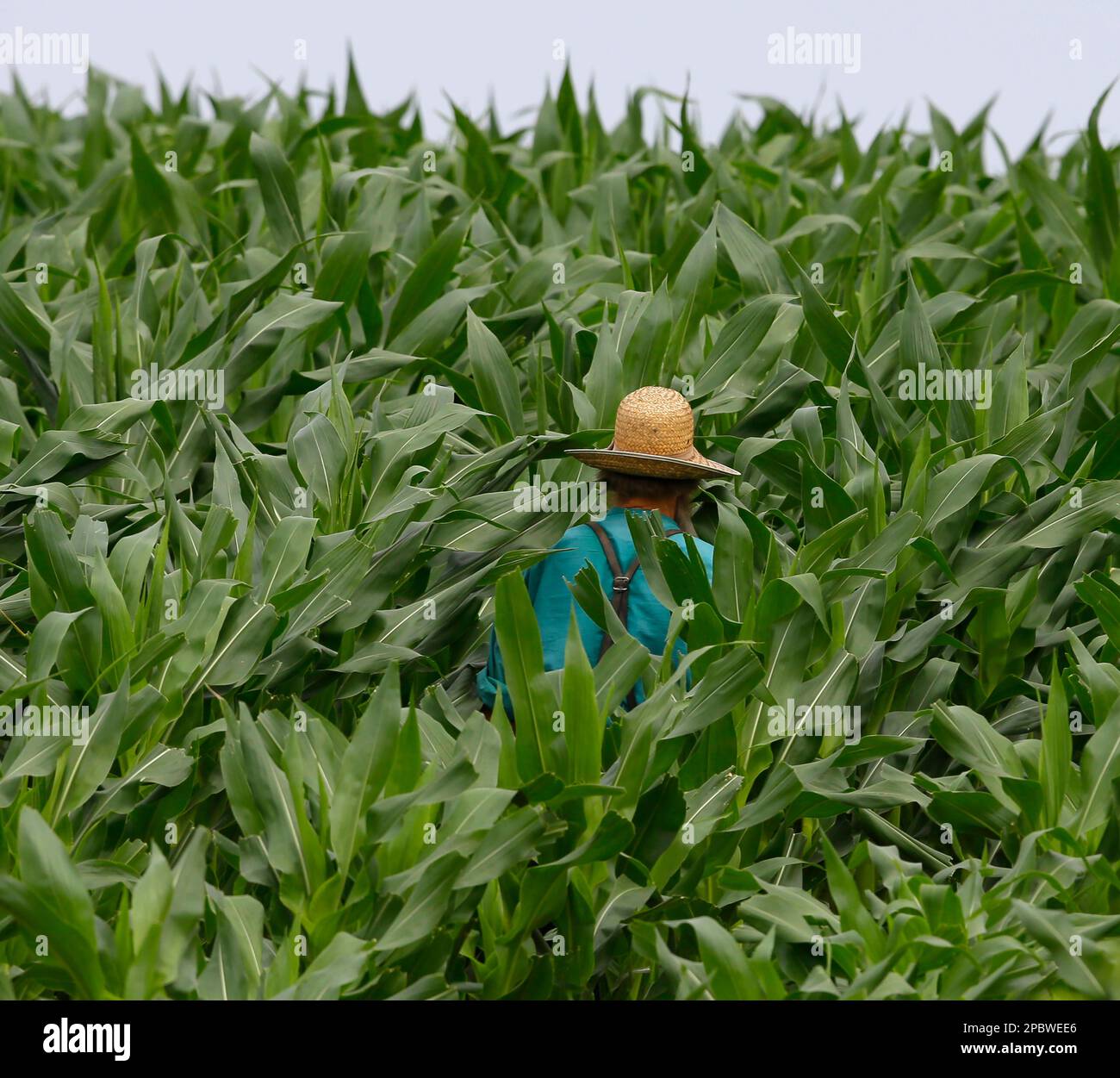 Amish man hat hi-res stock photography and images - Alamy