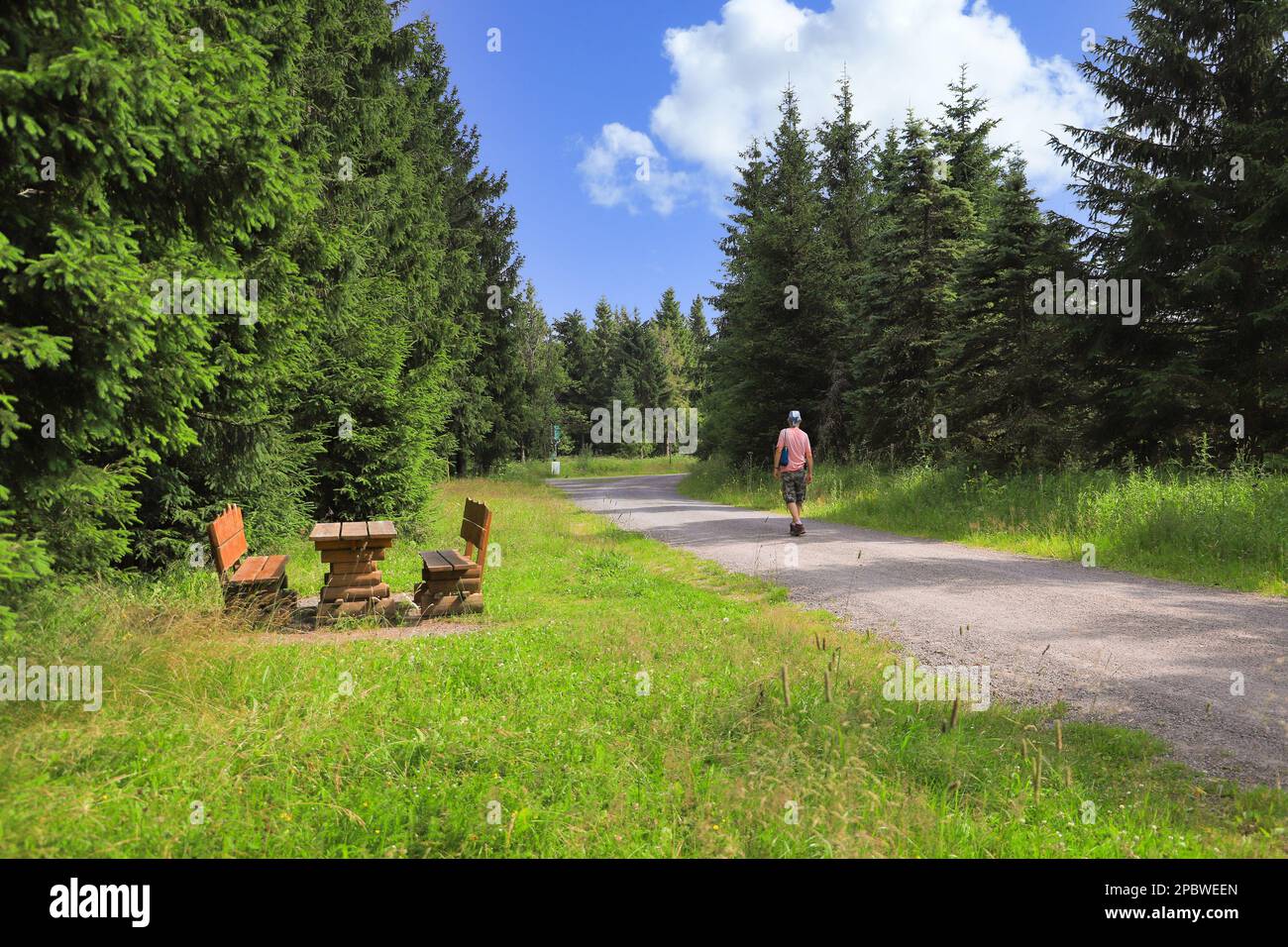 Hiking on hiking trail Rennsteig in Masserberg - Germany Stock Photo ...