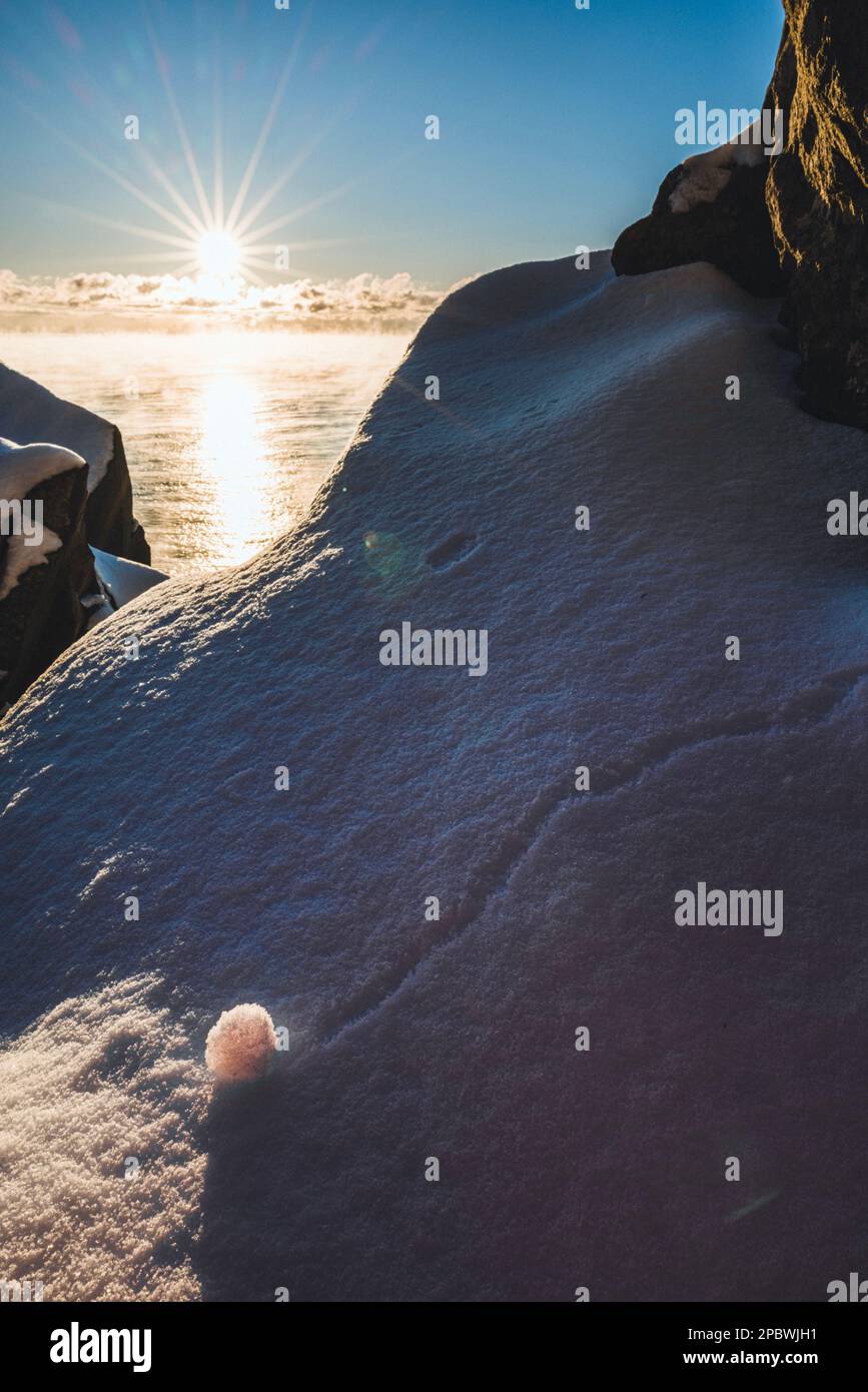 Dawn cutler hi-res stock photography and images - Alamy