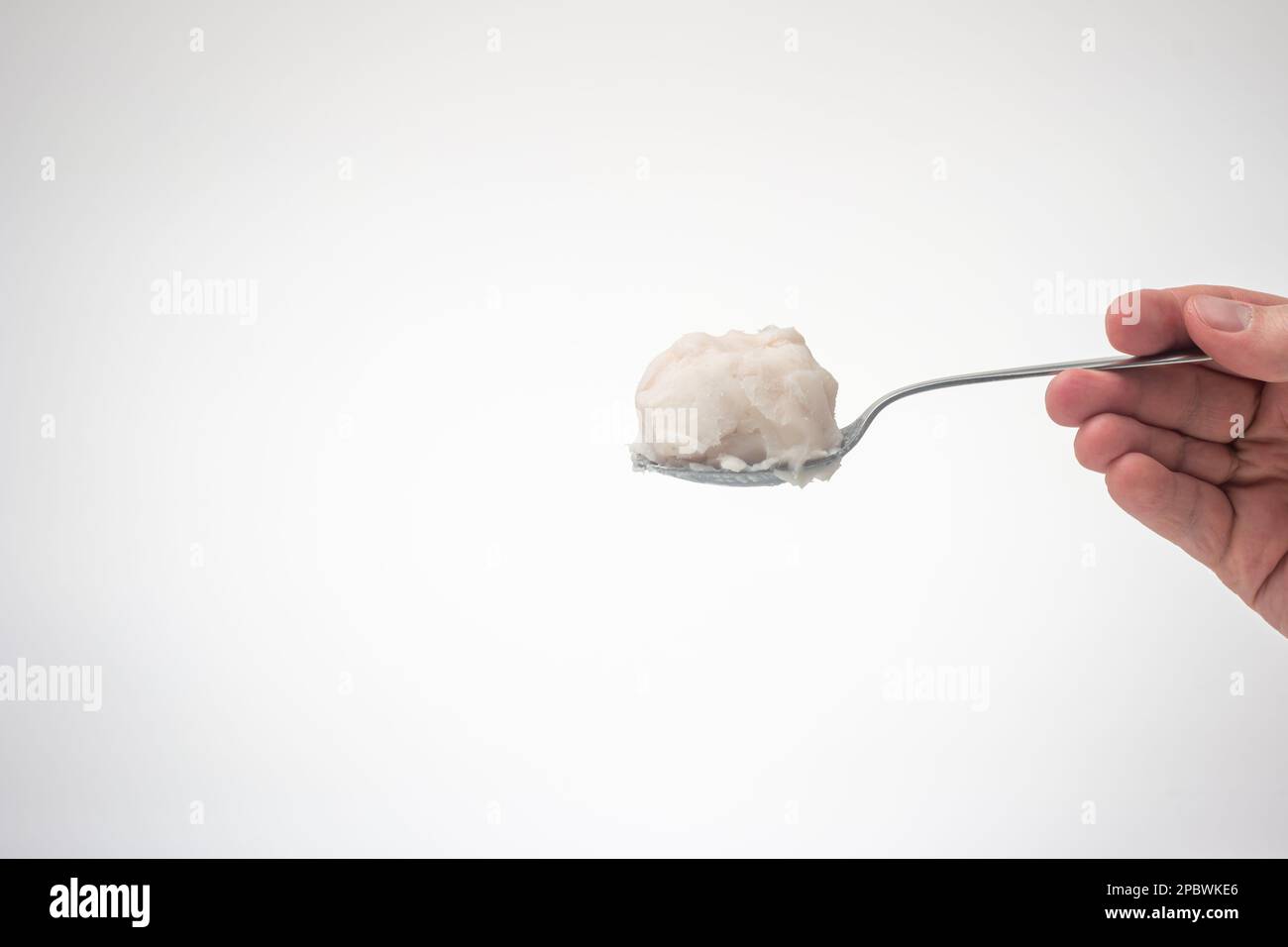 Pig fat or lard on a metal spoon held by Caucasian male hand. Close up ...
