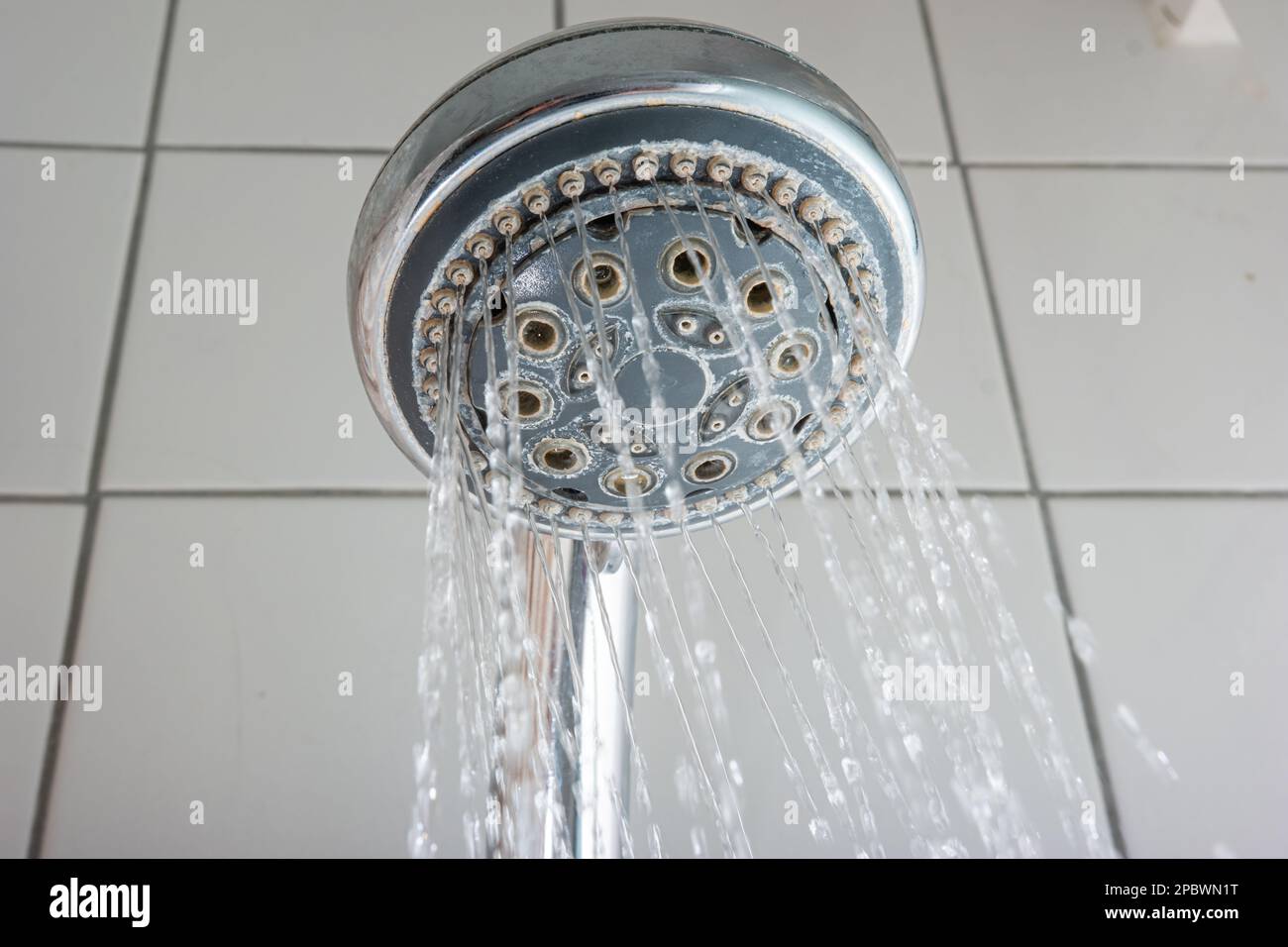 Water streaming out of silver round shower head inside bathroom. Low angle close up shot, no ...