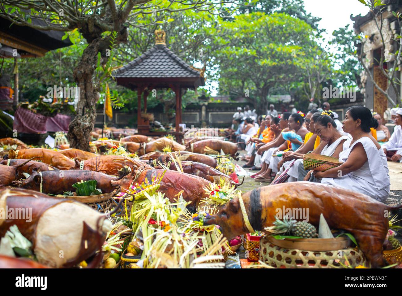 Usaba Sumbu ceremony in Pura Dalem Desa Timbrah Stock Photo - Alamy