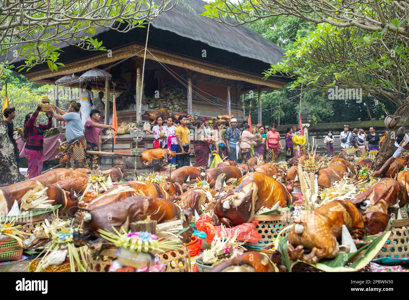 Usaba Sumbu ceremony in Pura Dalem Desa Timbrah Stock Photo - Alamy