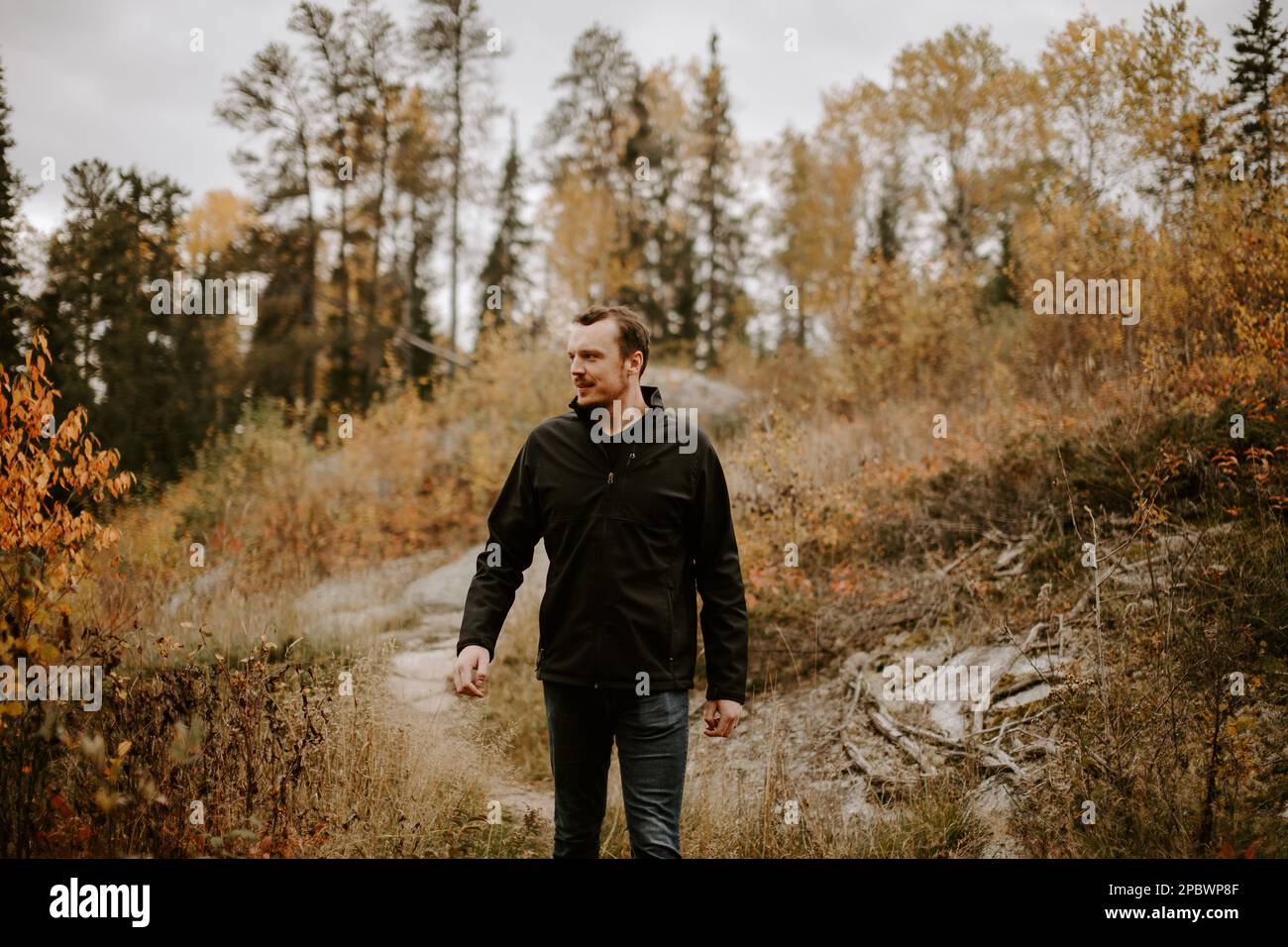 Young man hiking in nature on a cool fall day in the Canadian Sh Stock ...