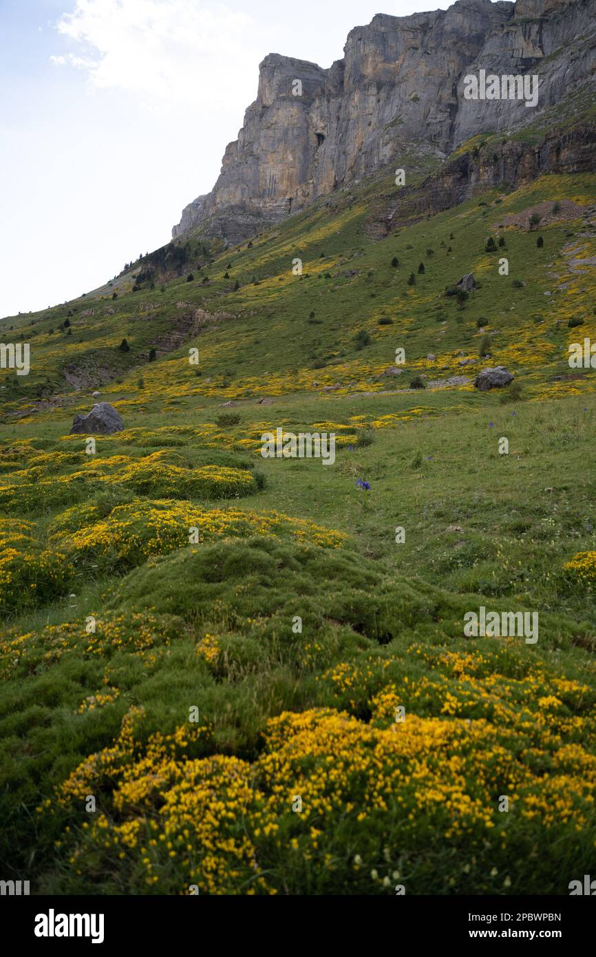 Mountain Canyon walls in the forests of Ordesa National Park in the ...