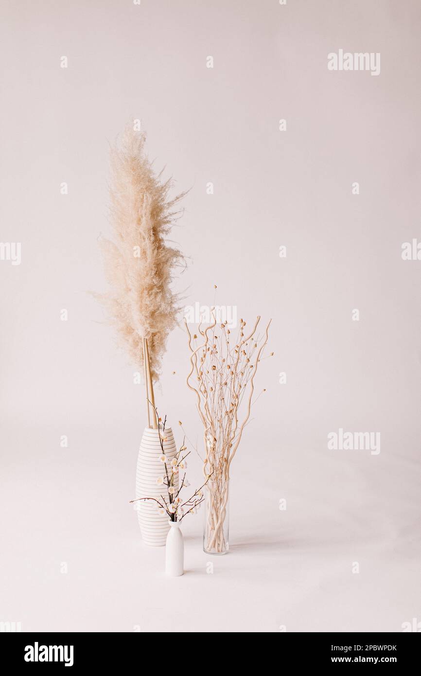 All white floor and wall with three vases of neutral pampas grass Stock ...