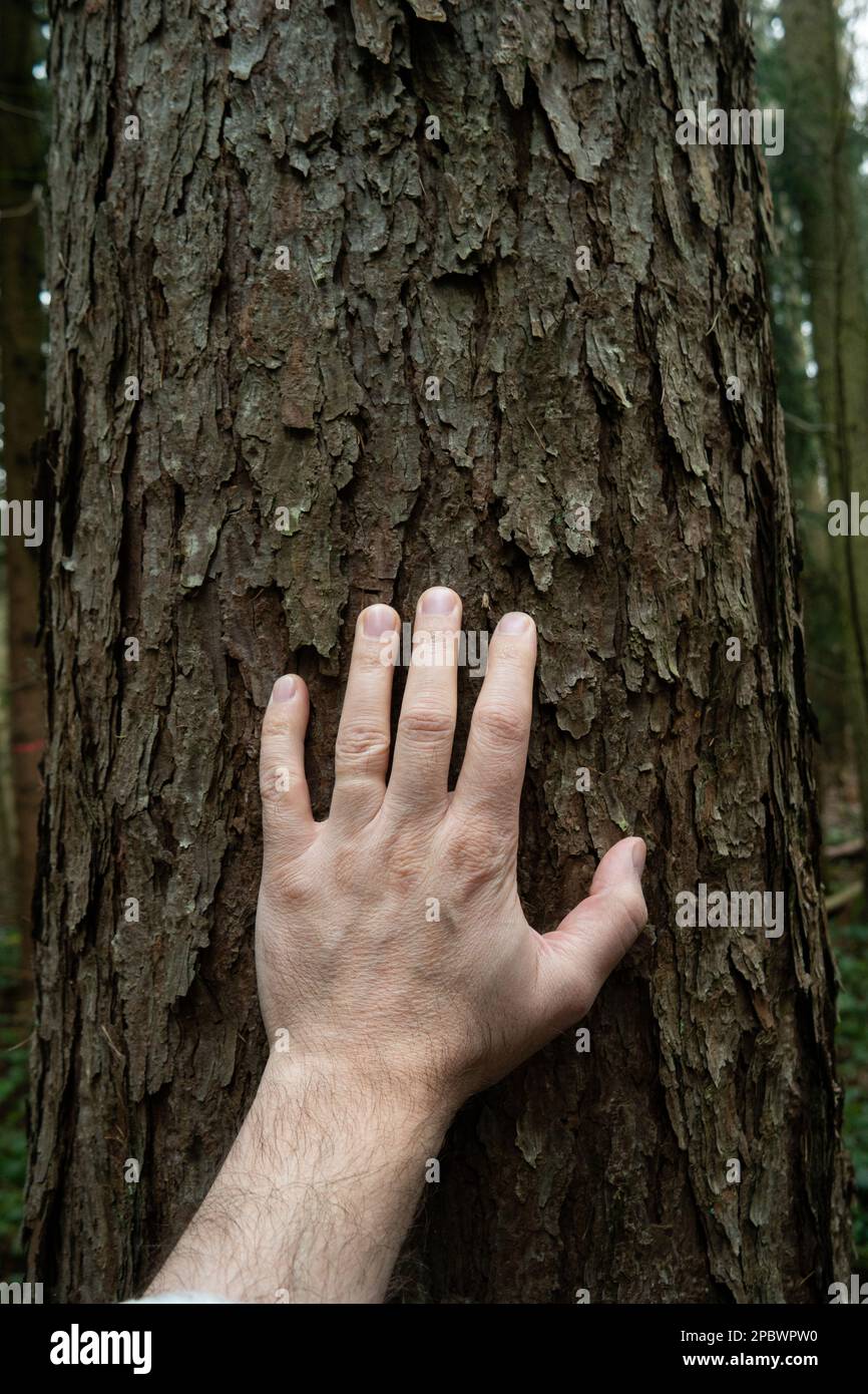 Close up friendly human male hi-res stock photography and images - Alamy