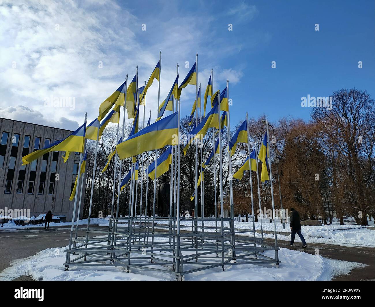 Ukrainian symbols in Riga (Latvia). In the picture: Ukrainian flags in ...