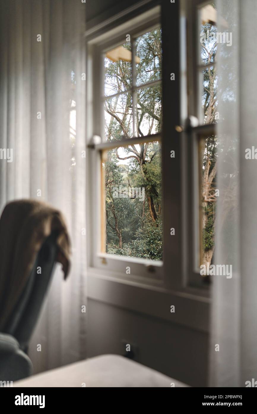 Native tree house hi-res stock photography and images - Alamy