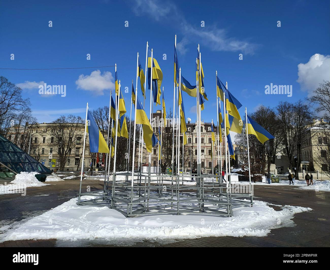 Ukrainian symbols in Riga (Latvia). In the picture: Ukrainian flags in ...