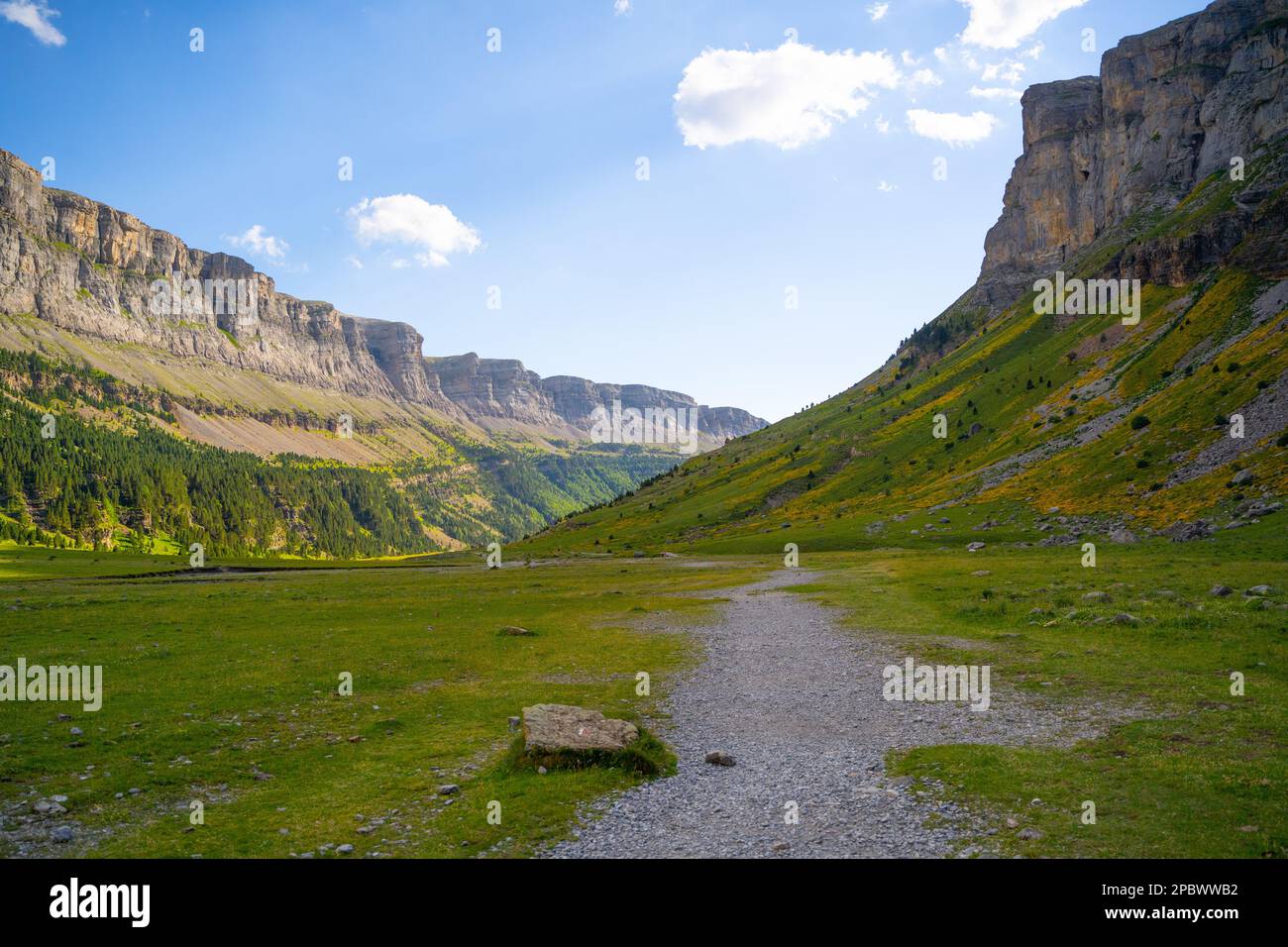 Mountain Canyon walls in the forests of Ordesa National Park in the ...