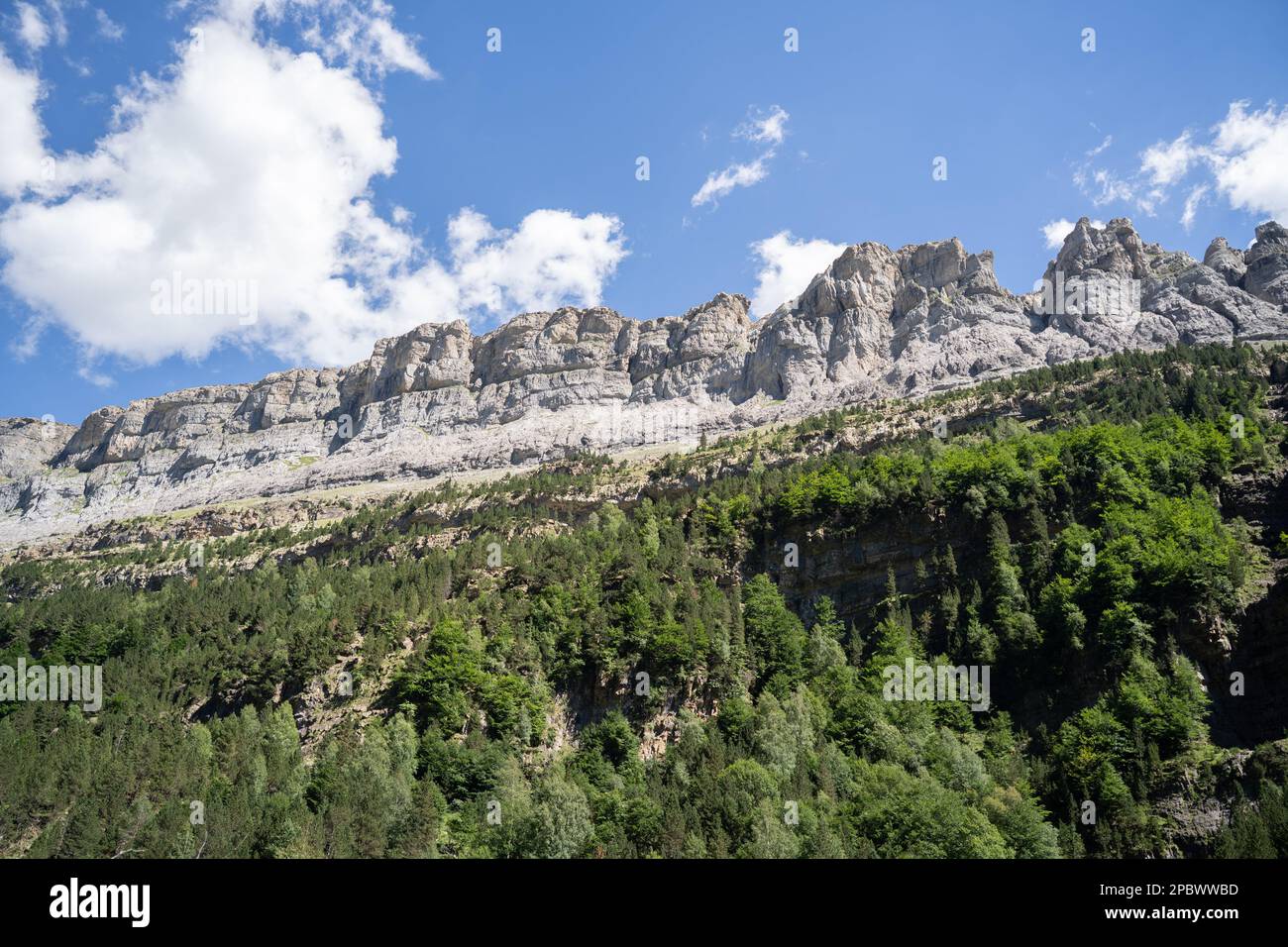 Mountain Canyon walls in the forests of Ordesa National Park in the ...