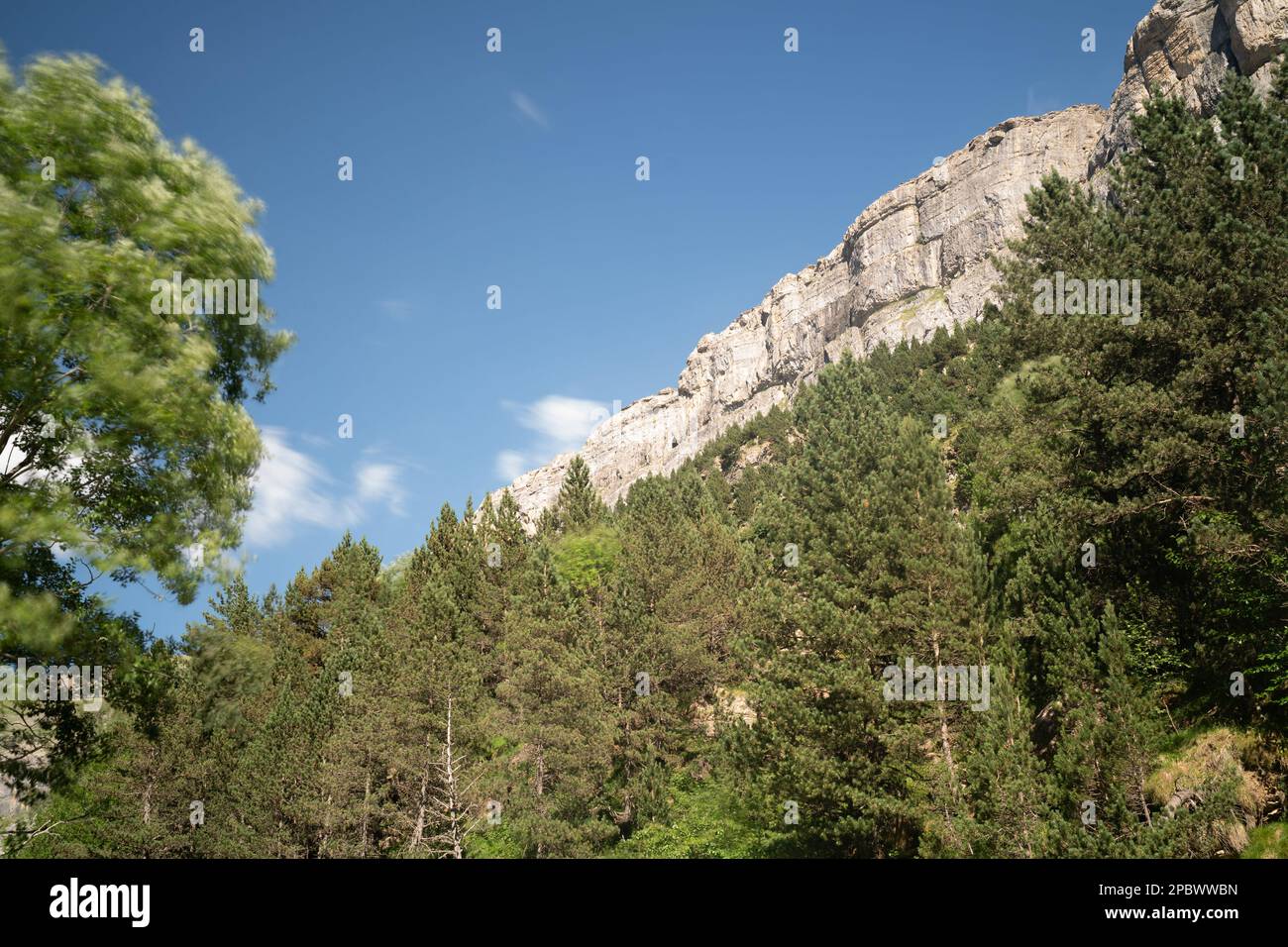 Mountain Canyon walls in the forests of Ordesa National Park in the ...